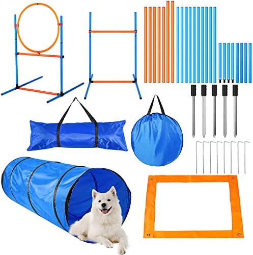 Amazon.com : 5 Sets Dog Agility Training Equipment Obstacle Agility ...