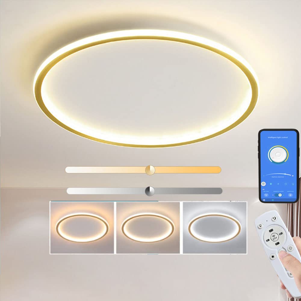 Modern Round Led Ceiling Lamp With Remote Control Smart Led Dimmable ...