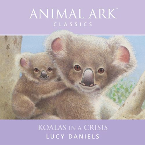 Animal Ark: Koalas in a Crisis (Audio Download): Lucy Daniels, Hachette ...