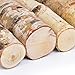 Amazon.com: Kingcraft 6 Pack Large Birch Logs for Fireplace Unfinished ...
