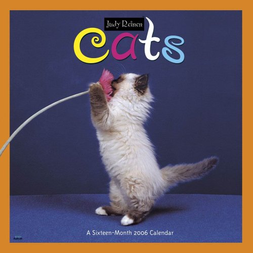 2006 Judy Reinen Cats Calendar (12"x12"): 9781595014467: Amazon.com: Books