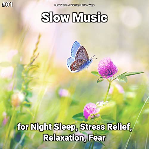 #01 Slow Music for Night Sleep, Stress Relief, Relaxation, Fear de Slow ...