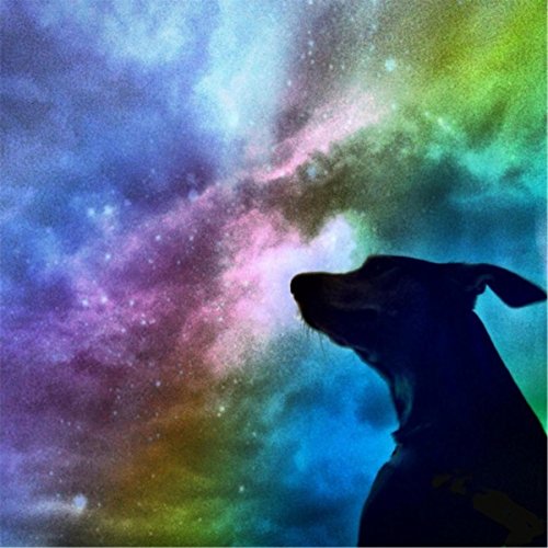 Amazon.com: Where Wolves Live : Adam Del Rio: Digital Music