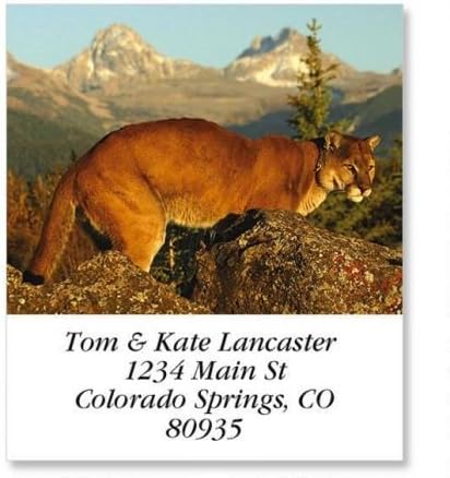 Amazon.com : Mountain Lion Square Return Address Labels - Set of 144 1 ...