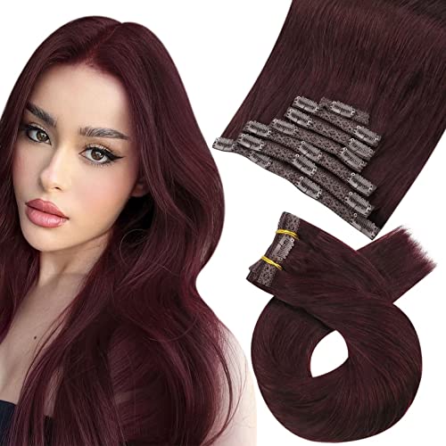 Moresoo Human Hair Extensions Clip in Wine Red Hair Extensions Clip in ...
