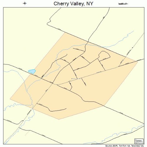 Amazon.com: Large Street & Road Map of Cherry Valley, New York NY ...