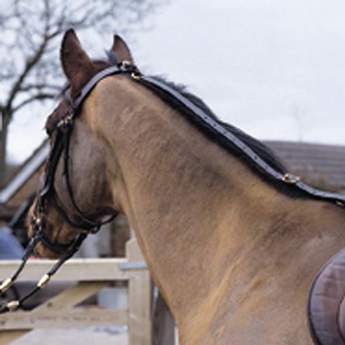 The 30 Best Equestrian Reins of 2024 [Verified] - Cherry Picks