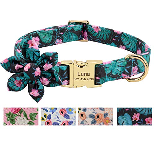 10 Coolest Female Dog Collars to Make Your Pup the Fashionista of the ...