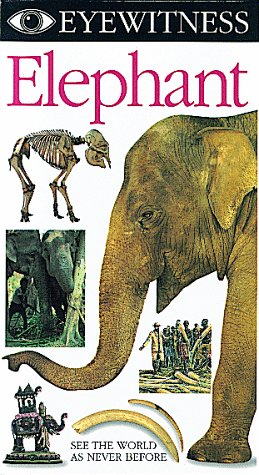 Elephant (Eyewitness Video): DK Publishing: 9780789400321: Amazon.com ...