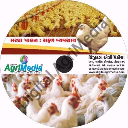 Amazon.in: Buy Margha palan : vayvsay (Poultry Farming : Business) DVD ...