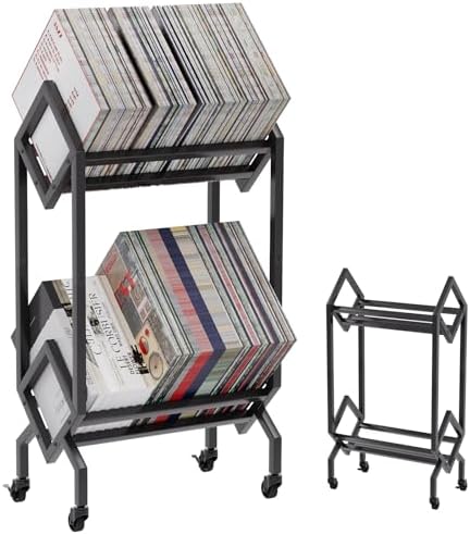 ASDJAKZP 2-Tier Vinyl Record Storage Rack, Holds 160-200 LP Albums ...