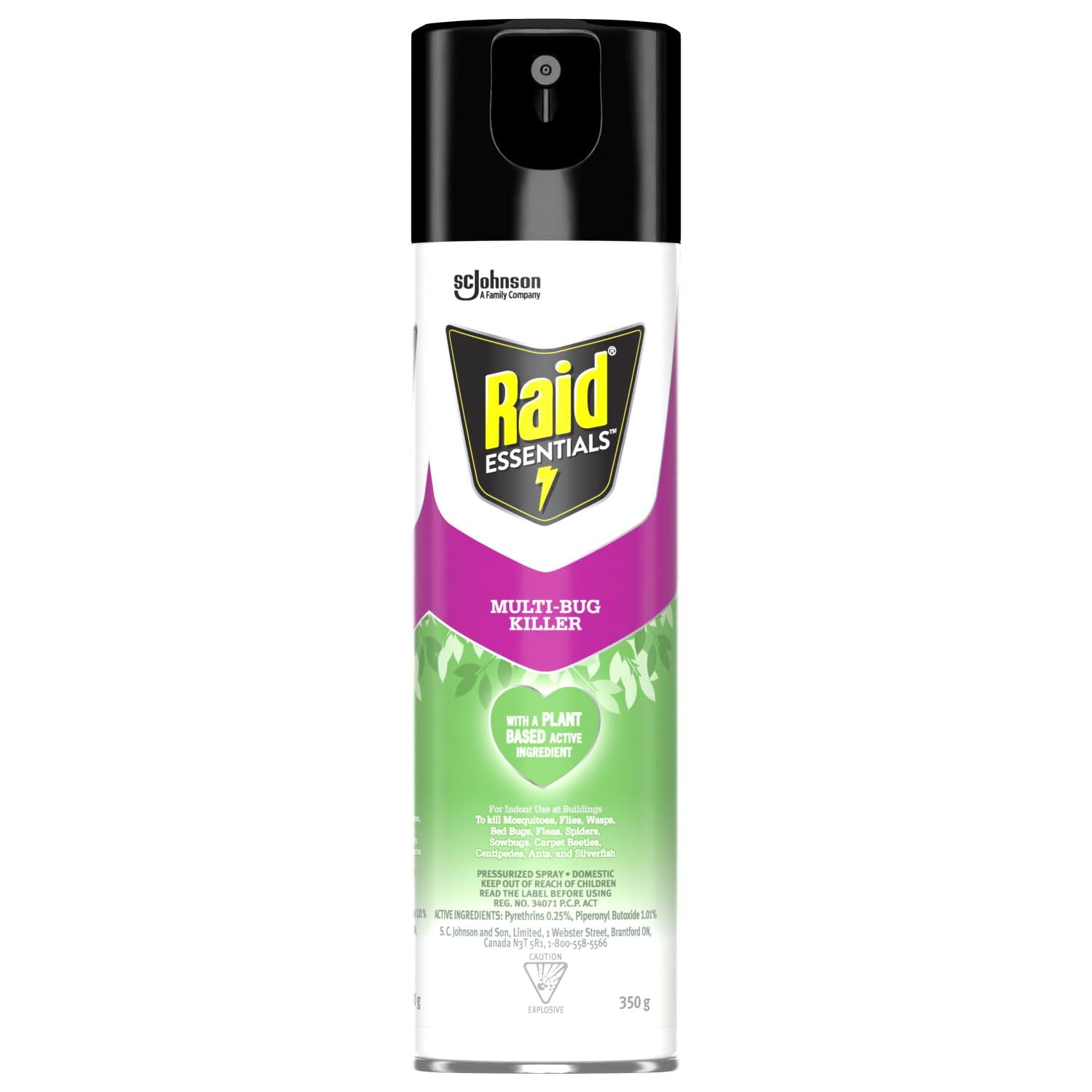 Raid Essentials Multi-Bug Killer, Kills Listed Bugs On Contact, 350g ...