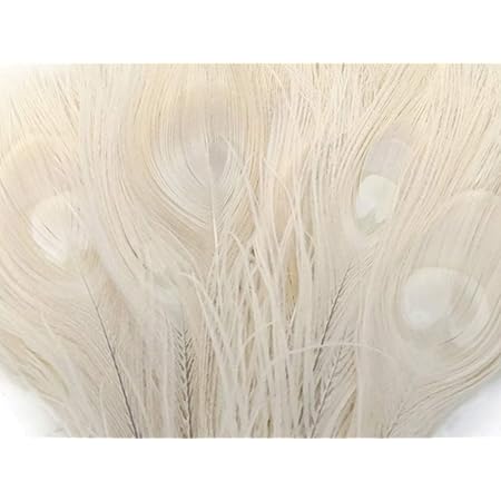 Amazon.com: 5 Pieces - Ivory Bleached Peacock Tail Eye Feathers 10-12 ...