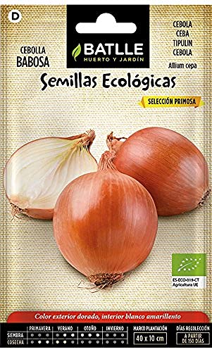Ajo Tierno o Ajete ¿Qué son y cómo cultivarlos? ⋆ Cultivar mi Huerto