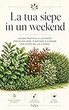 【発売日：2026年05月22日】