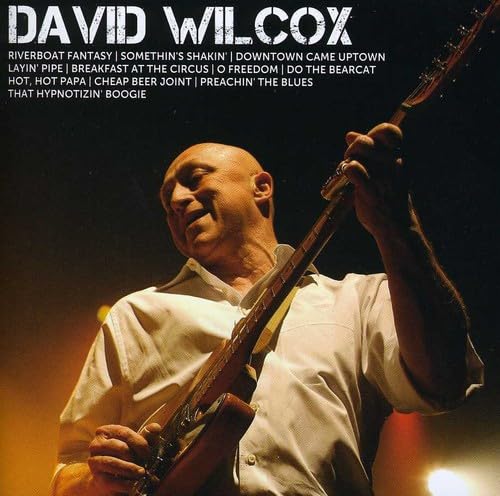 Amazon.com: Icon: 0602537469109: Wilcox, David: Books