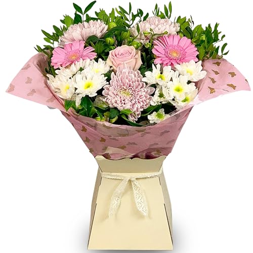 Amazon.co.uk Best Sellers: The most popular items in Garden