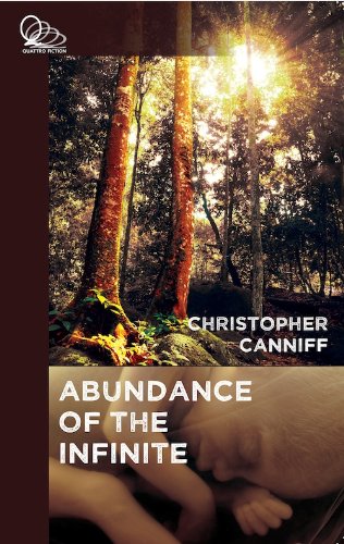 The Abundance of the Infinite: Canniff, Christopher: 9781927443071 ...