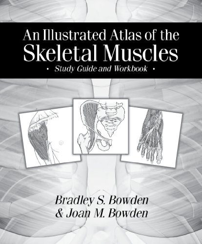 An Illustrated Atlas of the Skeletal Muscles: Study Guide and Workbook ...