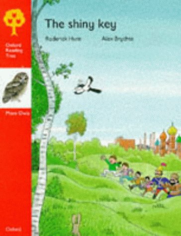 Oxford Reading Tree: More Owls Stage 6 The Shiny Key: Hunt, Rod ...