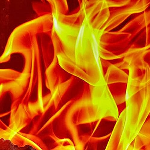 Amazon.com: The Beverly Hills Supper Club: The Untold Story of Ky's ...