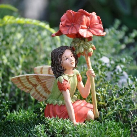 The Geranium Flower Fairy ~ Series XVI : Amazon.in: Home & Kitchen