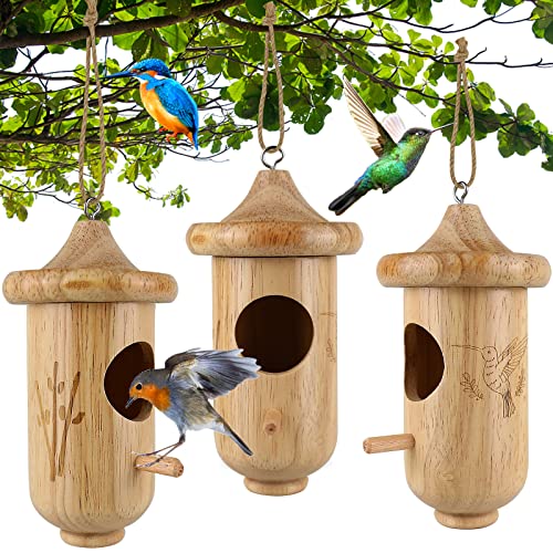 10 Best hummingbird houses