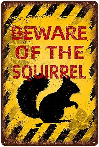 Amazon.com: Squirrel Protected By Squirrels Warning Beware Of Squirrel ...