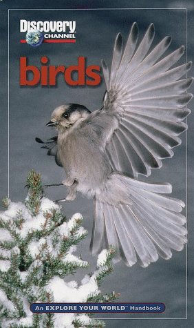 Discovery Channel: Birds: An Explore Your World Handbook: Bird, David M ...
