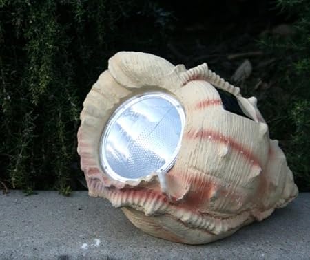 Amazon.com: Solar Garden Decor Seashell Spotlight : Home & Kitchen