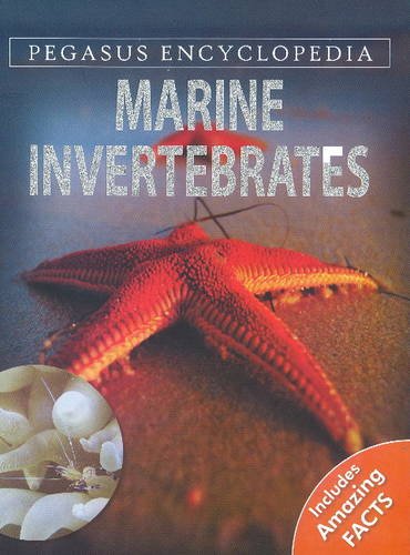 Marine Invertebratessea World: Pegasus: 9788131912102: Amazon.com: Books