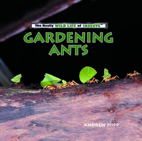 Gardening Ants (Really Wild Life of Insects): Hipp, Andrew ...