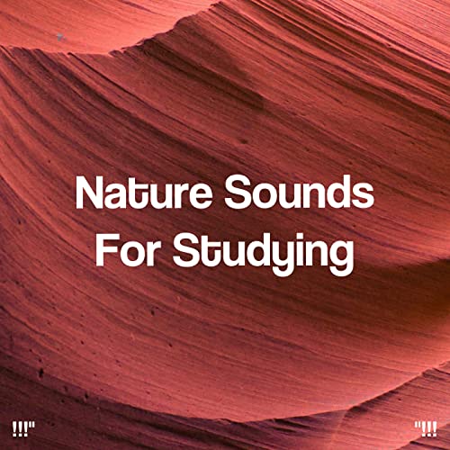 Play !!!" Nature Sounds For Studying "!!! by Nature Sounds Nature Music ...
