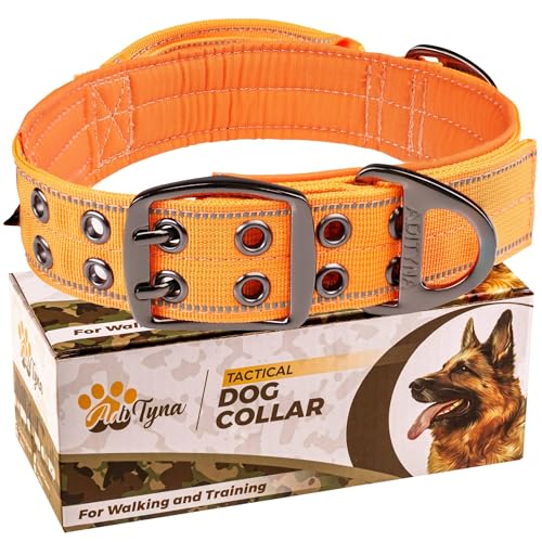 Orange Dog Collars – The 15 best products compared - Wild Explained