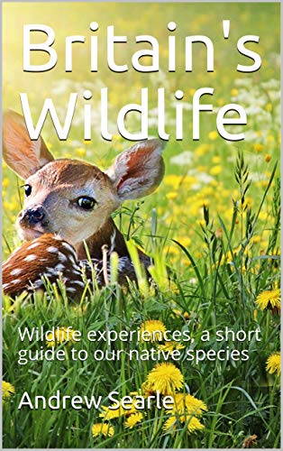 Britain's Wildlife: A short guide to some of our most common native ...