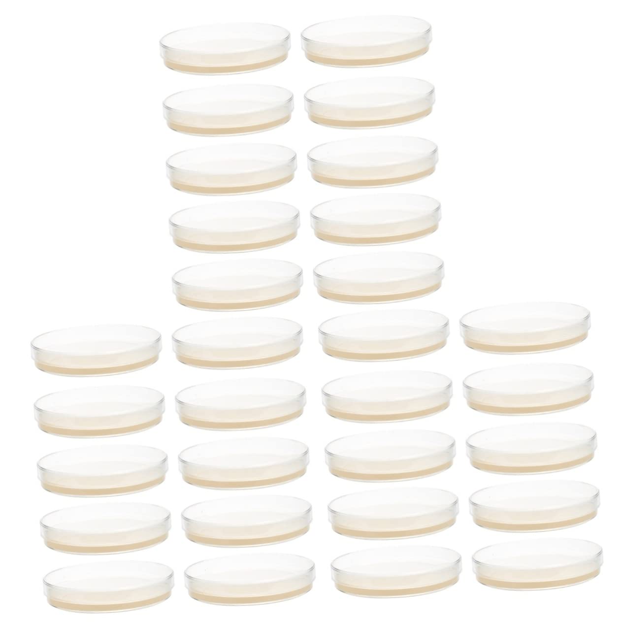 Buy iplusmile 30 pcs Lab Dish Science Petri Fair Plates Agar Projects ...