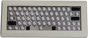 Amazon.com: SZRKBDㅤ 64 Layout Include Regular Directional Keys,Topre Switch EC Capacitive ...