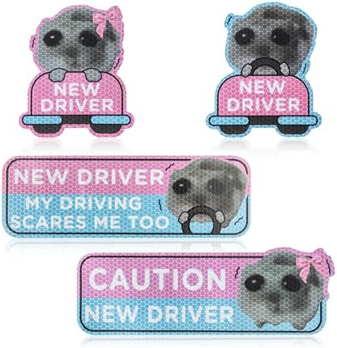Amazon.com: CNhoqc New Driver Car Magnets - 4pcs Shivering Hamster ...