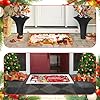 Amazon.com: LUUFILx 22 x 10 Inch Merry Christmas Seasonal Doormat 2 Pcs ...