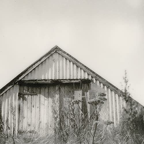 Amazon.com: Fallen : Taylor Deupree: Digital Music