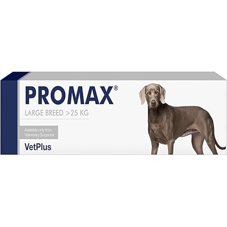 Promax Nutritional Supplement for Large Dogs 30ml Syringe (Packaging ...