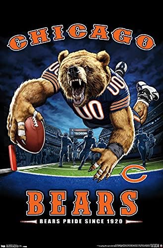 Amazon.com: Trends International NFL Chicago Bears - End Zone 17 Wall ...