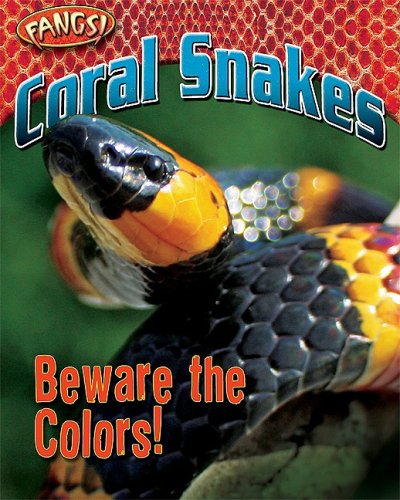 Coral Snake Fangs