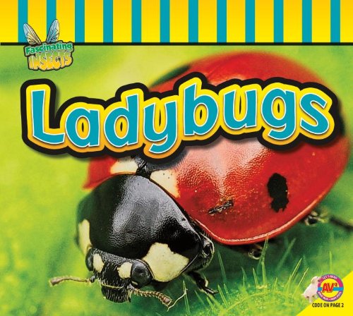 Ladybugs (Fascinating Insects) : Carr, Aaron: Amazon.in: Books
