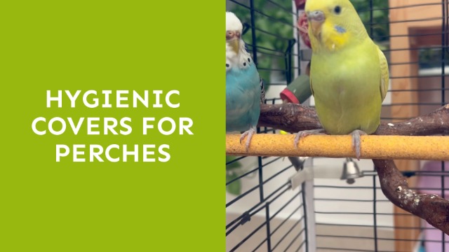 Snapklik.com : S&X Sand Perch Covers For Parakeets Canaries Finches ...