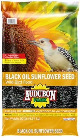 Amazon.com : Shafer Seed 51041 40-Pound Bag, Black Oil Sunflower Wild ...