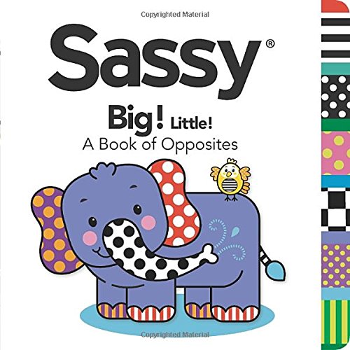 Big! Little!: A Book of Opposites (Sassy): Grosset & Dunlap, Aikins ...