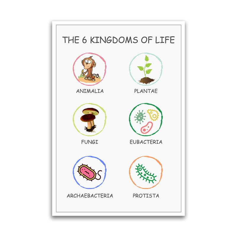 6 Kingdoms And Examples