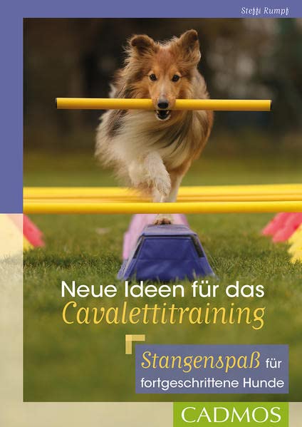 Hund Balance Training – Die 15 besten Produkte im Vergleich ...