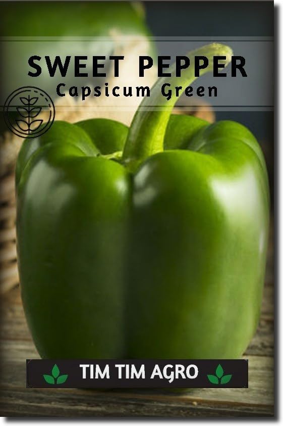 Sweet Pepper Seeds | Capsicum 10g Imported Pepper Seeds for Home Garden ...